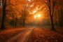 What Is Indian Summer and When Does It Happen? - Colors of India